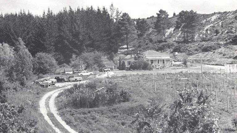 About Nelson Naturist Park