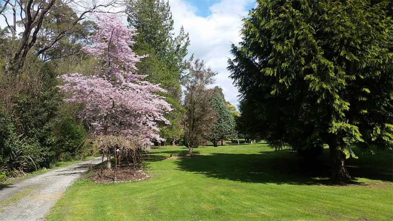 Gallery - Nelson Naturist Park