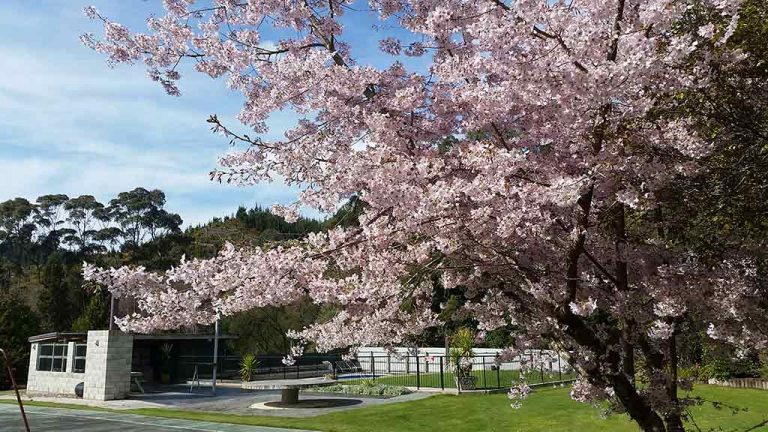 Gallery - Nelson Naturist Park