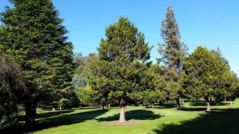 Gallery - Nelson Naturist Park