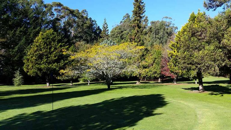 Gallery - Nelson Naturist Park