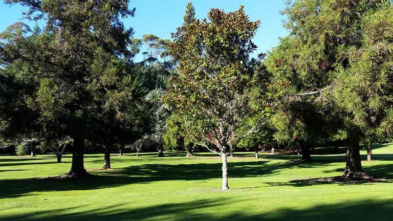 Gallery - Nelson Naturist Park