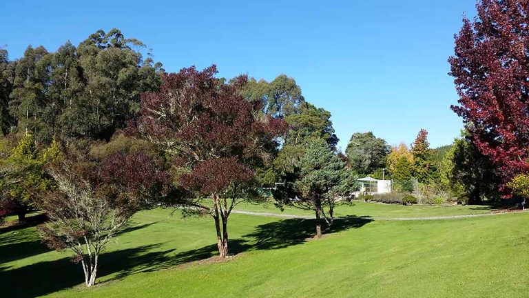 Gallery - Nelson Naturist Park