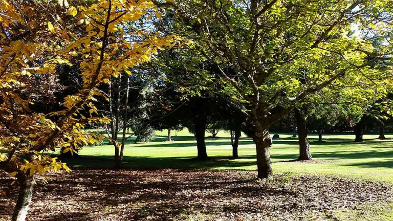 Gallery - Nelson Naturist Park
