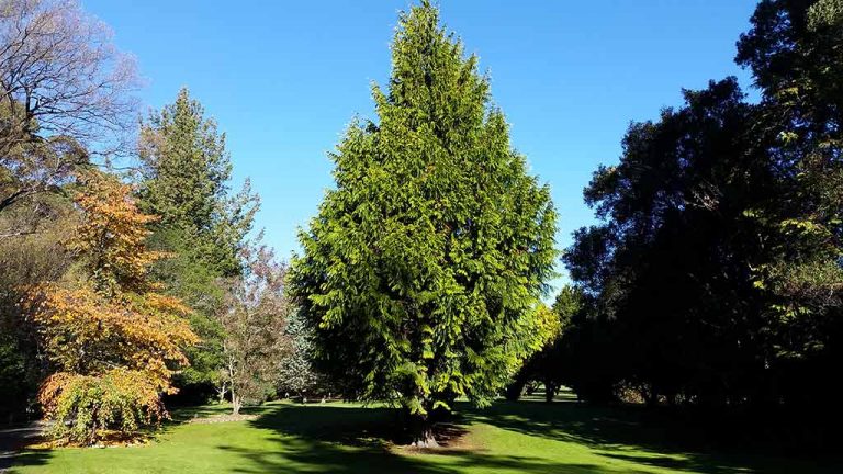 Gallery - Nelson Naturist Park