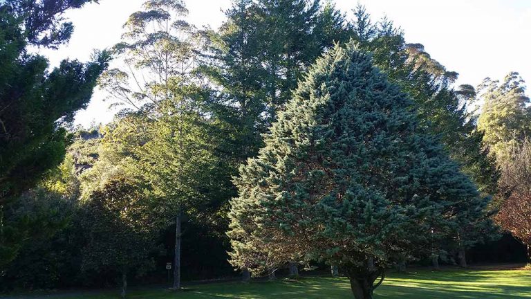 Gallery - Nelson Naturist Park