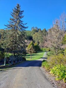 Gallery - Nelson Naturist Park