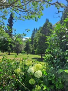 Gallery - Nelson Naturist Park