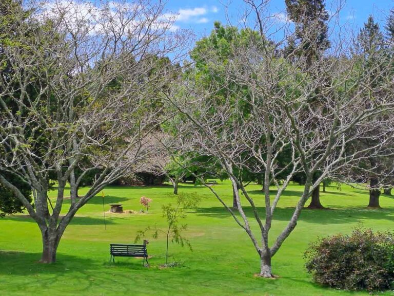 Gallery - Nelson Naturist Park